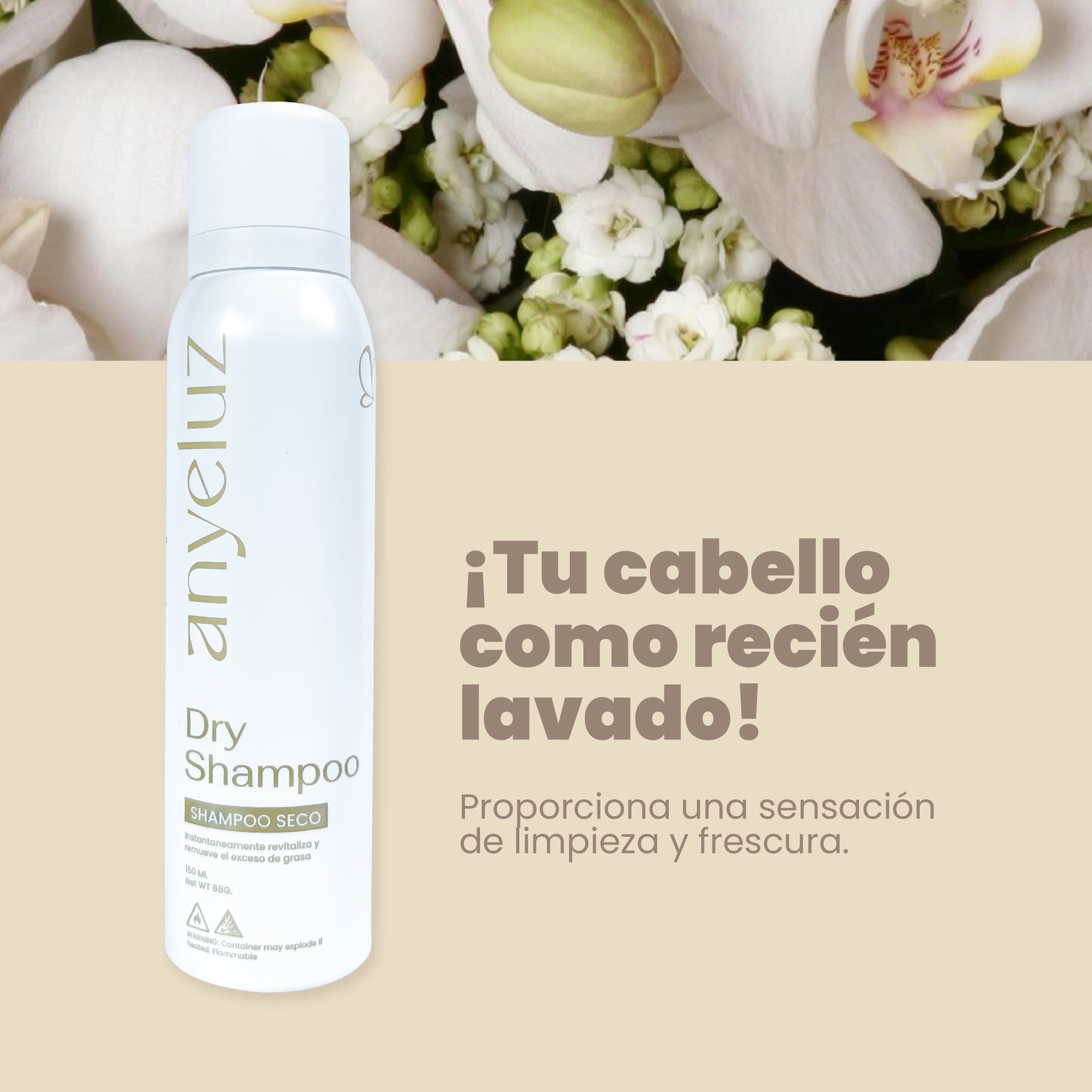 Shampoo Seco | Anyeluz
