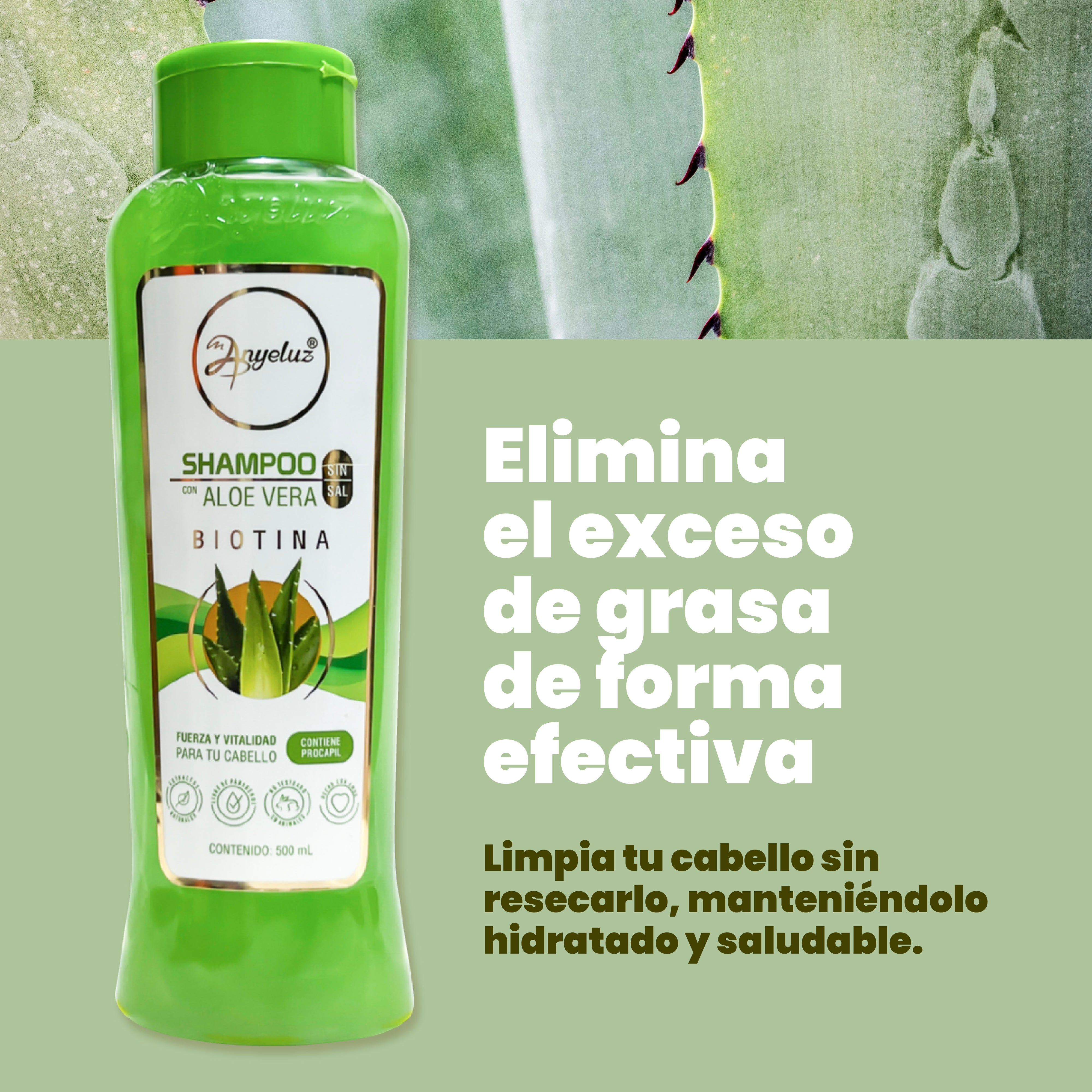 Shampoo Aloe Vera | Anyeluz