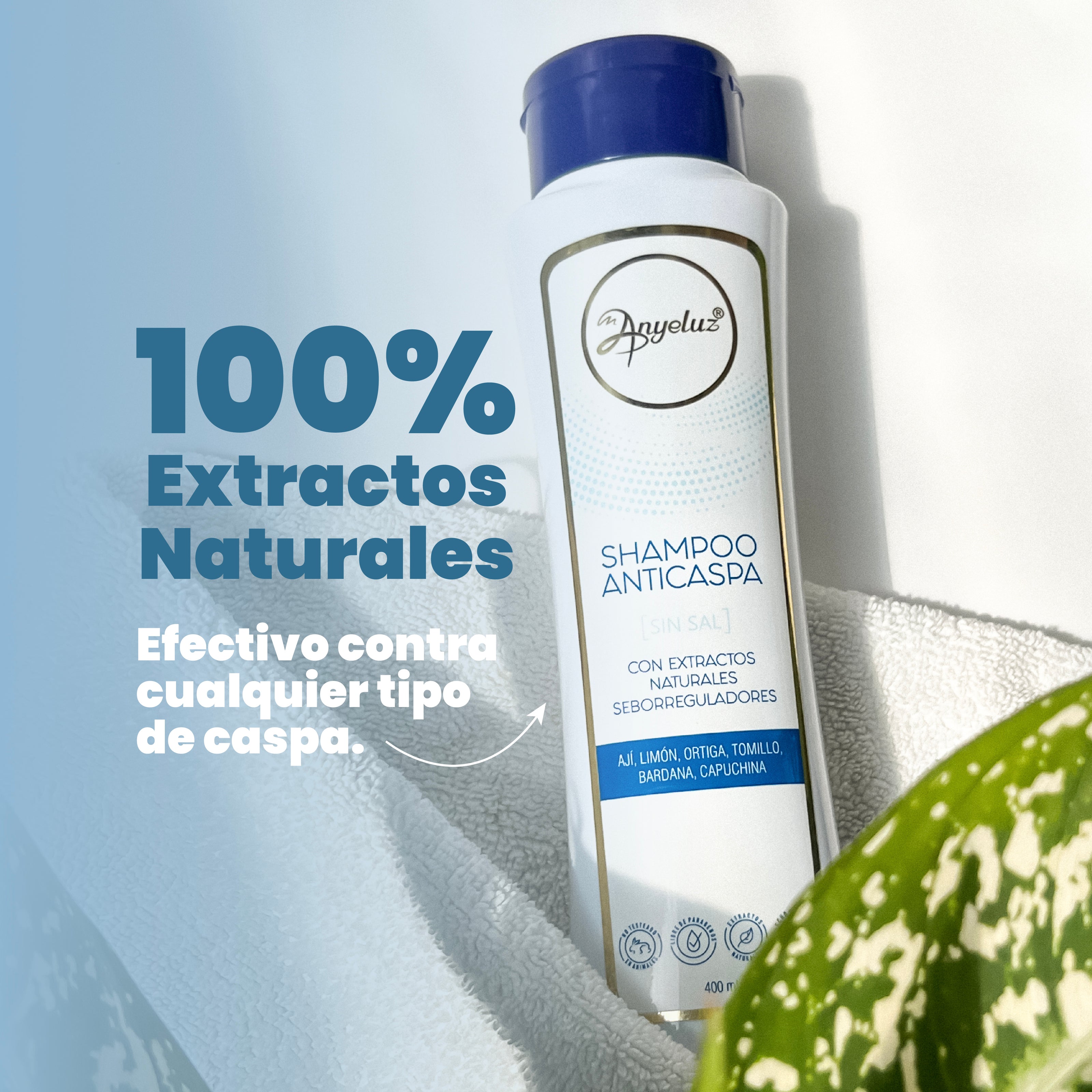 Shampoo Anticaspa | Anyeluz
