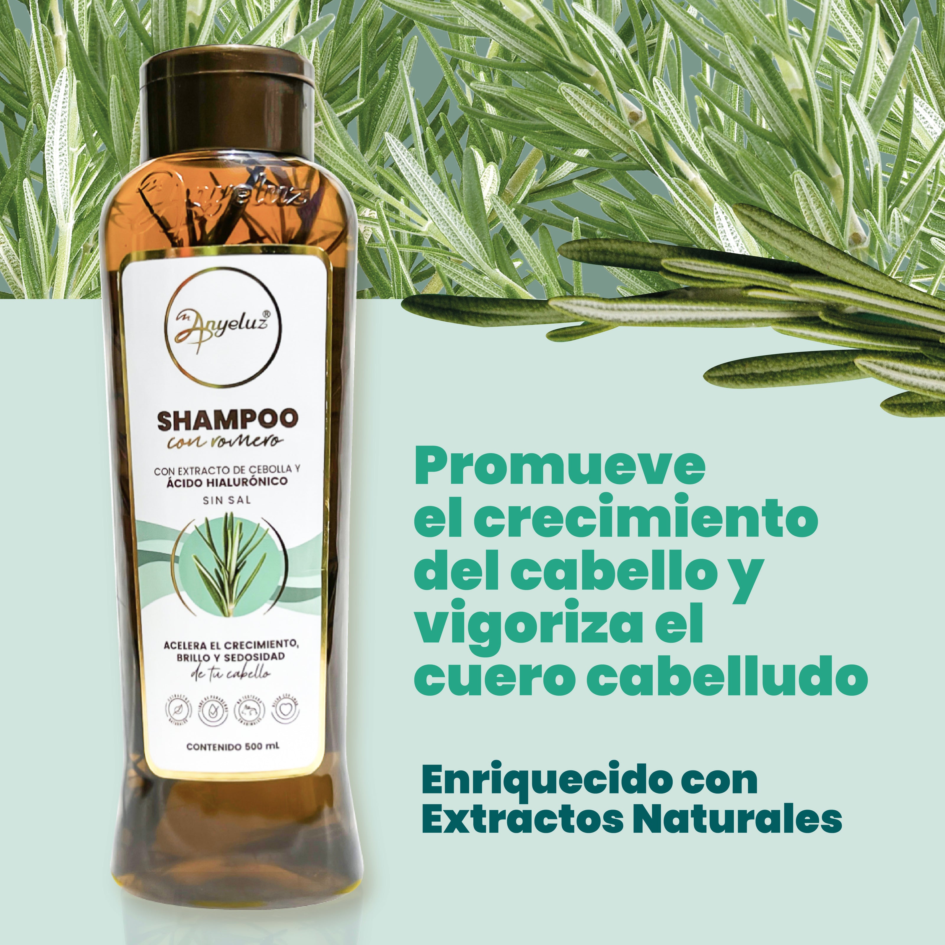 Shampoo con Romero | Crecimiento Capilar | Anyeluz